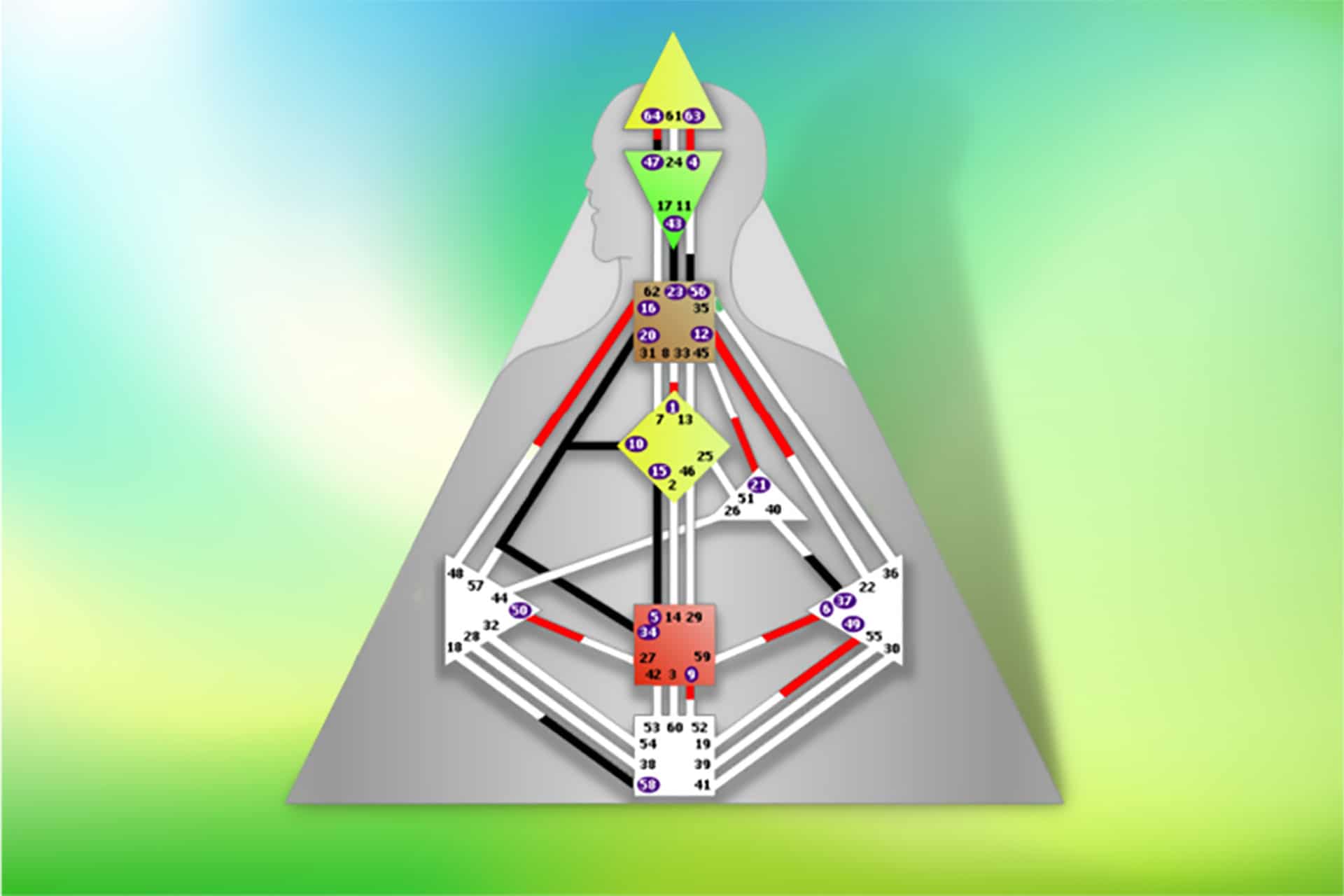 Mieux comprendre un schéma corporel en Human Design